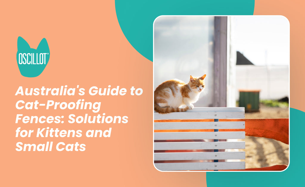 Australia's Guide to Cat-Proofing Fences: Solutions for Kittens and Sm ...