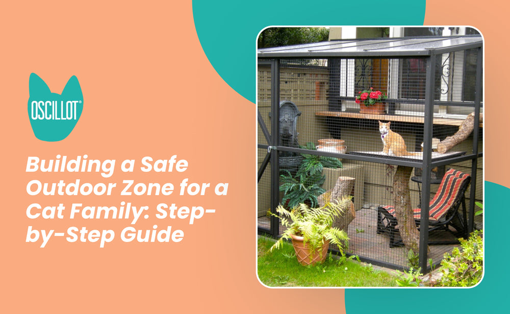 Building a Safe Outdoor Zone for a Cat Family: Step-by-Step Guide ...