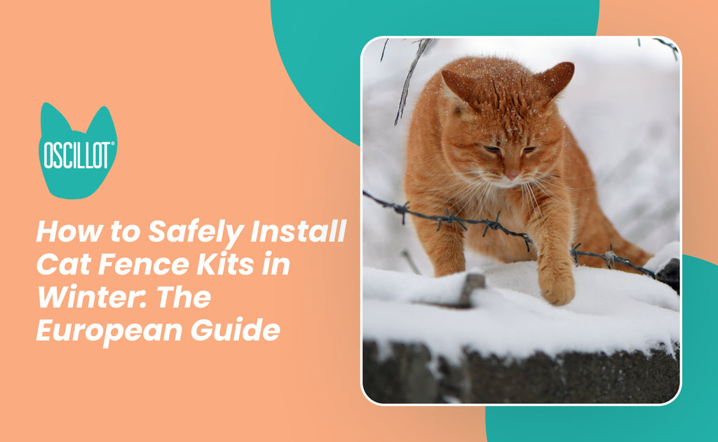 How to Safely Install Cat Fence Kits in Winter: The European Guide ...