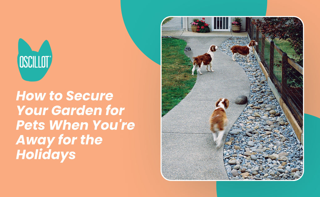 How to Secure Your Garden for Pets When You're Away for the Holidays ...