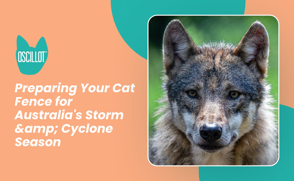 Preparing Your Cat Fence for Australia's Storm & Cyclone Season ...