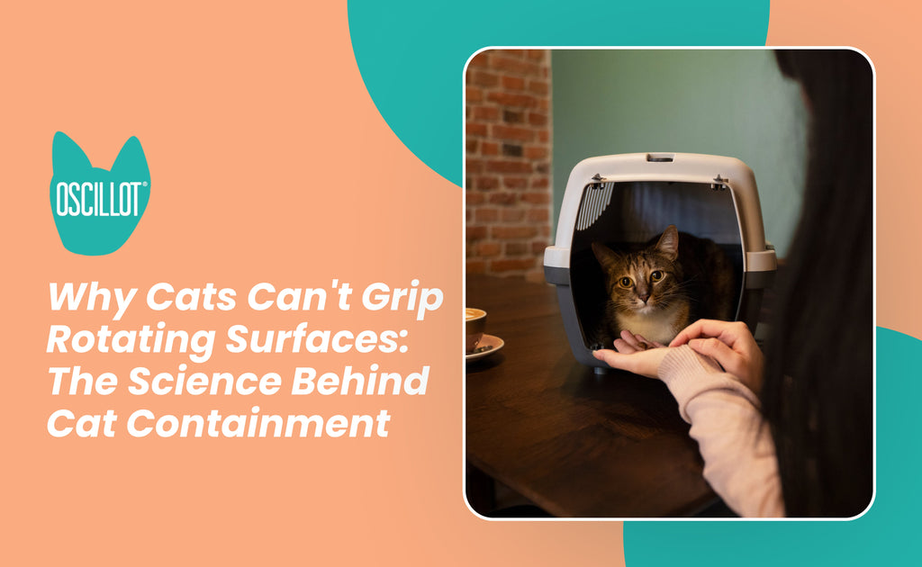 Why Cats Can't Grip Rotating Surfaces: The Science Behind Cat Containm ...